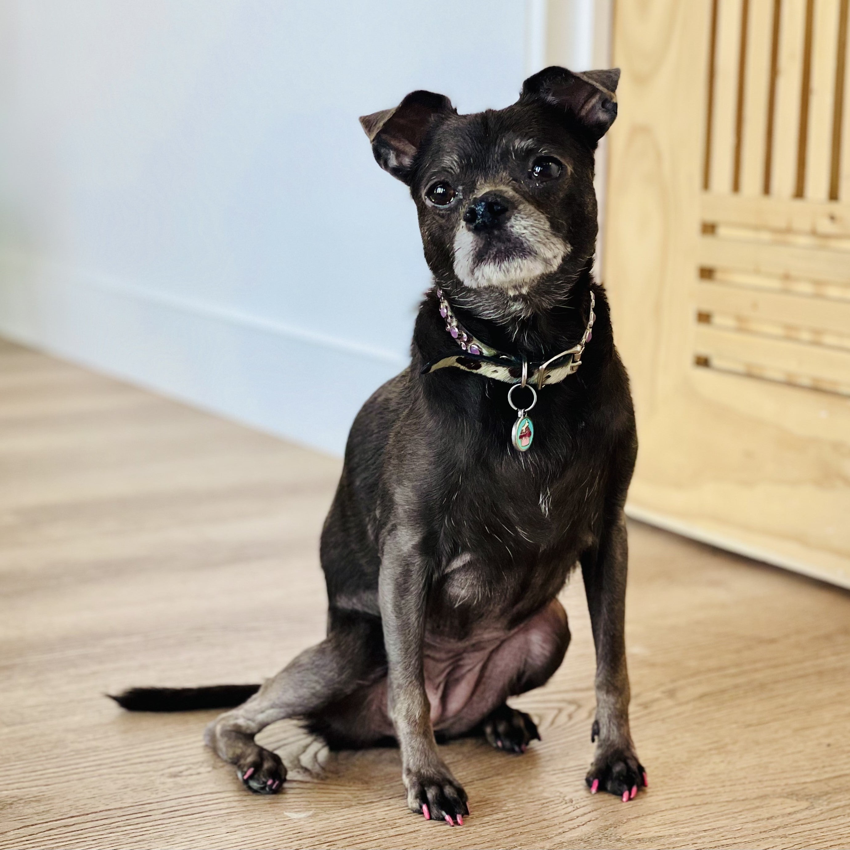 Emerson's Pet Nutrition