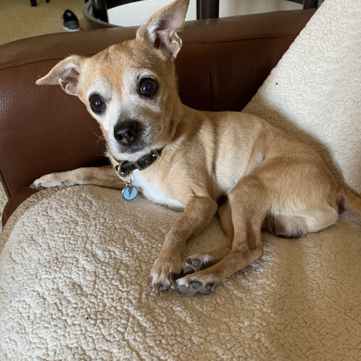 Emerson's Pet Nutrition